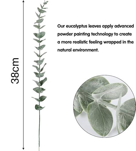 Green Eucalyptus Leaf Sweet Success Products