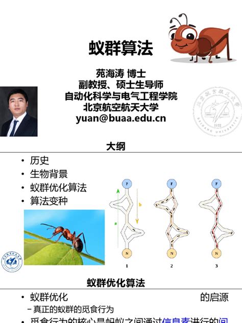 4 Ant Colony Optimization 蚁群算法 Pdf