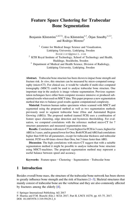 Pdf Feature Space Clustering For Trabecular Bone Segmentation