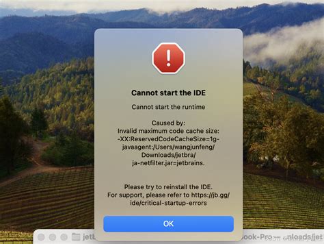已解决 Mac使用更改ideavmoptions文件导致idea打不开mac Ideavmoptions Csdn博客