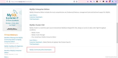 Javaweb 1数据库下载、操作表、基础查询、条件查询、where、group By分组查询、order By排序查询，limit分页查询、聚合函数java Web项目条件查询 Csdn博客