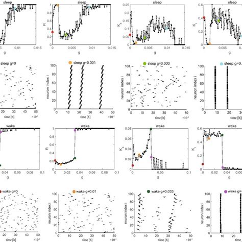 synchronization diagrams of the coupled neurons in ring shaped regular