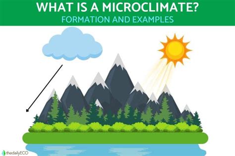 What Is A Microclimate In Geography Formation And Examples