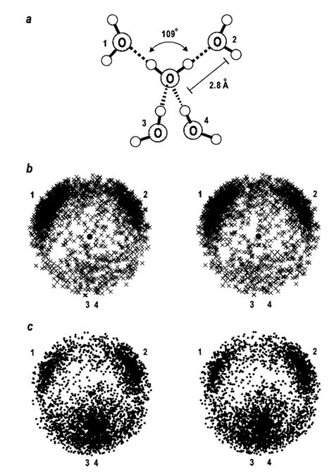 A An Illustration Schematically Showing The Tetrahedral Interaction Download Scientific