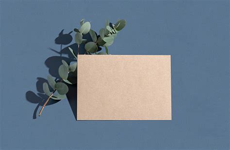 이것은 여름 웨딩 문구의 모형입니다 파란색 배경에 일반 갈색 인사말 카드와 초대장 유칼립투스잎 자연 채광과 섀도우 오버레이 플랫 레이 상단 보기 0명에 대한 스톡 사진 및