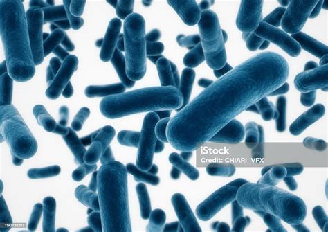 흰색 배경에 박테리아 클로즈업 3d 렌더링 3차원 형태에 대한 스톡 사진 및 기타 이미지 3차원 형태 개념과 주제 건강관리와 의술 Istock