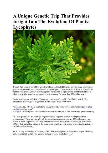 Lycophytes A Unique Genetic Trip That Provides Insight Into The Evolution Of Plants The