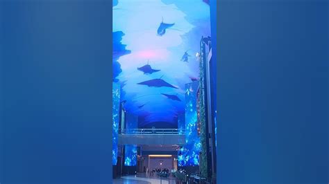 인천공항옆 인스파이어 아레나 공연장 오로라거리 Led거리 공연 Youtube