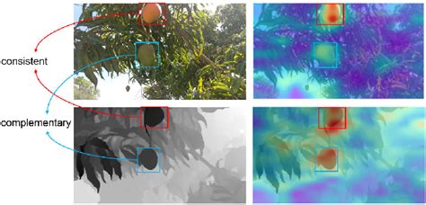 Figure 2 From Disentangled Cross Modal Transformer For Rgb D Salient