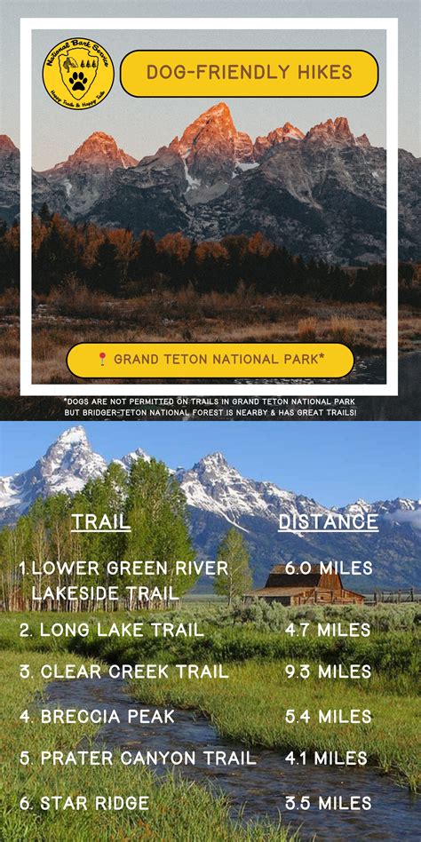 ⛰️🏔️ Explore The Tetons With Your National Bark Service
