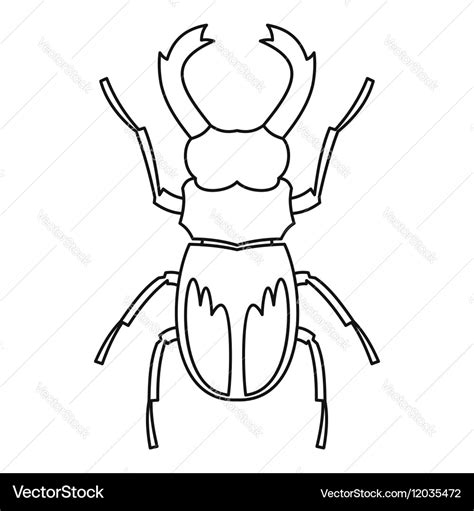 Beetle Template