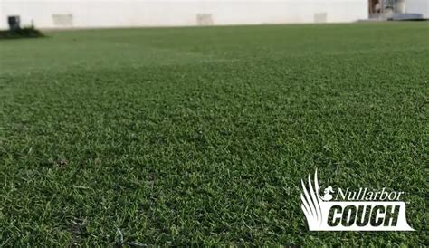 Nullarbor Couch Sunnyside Instant Lawn