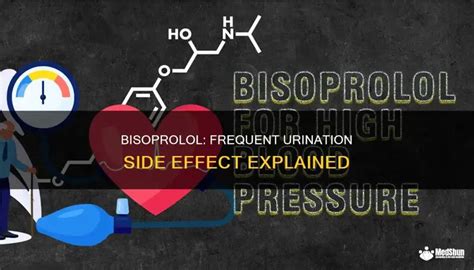Bisoprolol Frequent Urination Side Effect Explained Medshun