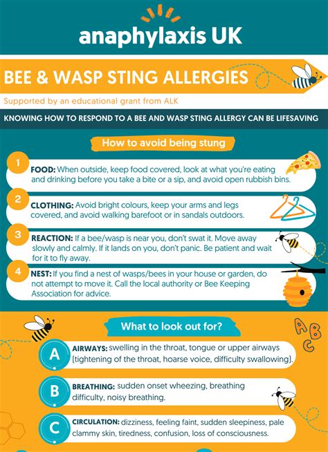 Our Bee And Wasp Venom Awareness Campaign Is Back For 2024 Anaphylaxis Uk
