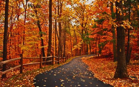 [200 ] October Pictures