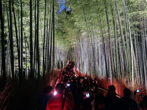 18 Amazing Things To Do In Kyoto At Night 2026 Guide