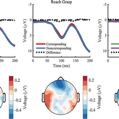 Lateralized Readiness Potentials Time Locked To Image Presentation For Download Scientific