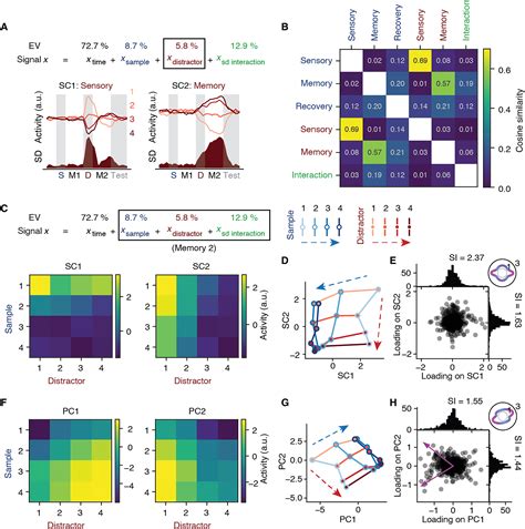 The Neuronal Implementation Of Representational Geometry In Primate