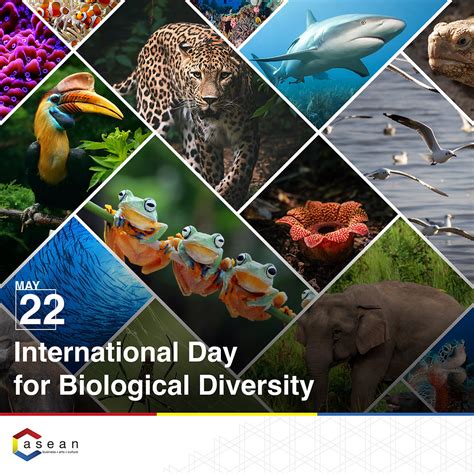 May 22 International Day For Biological Diversity