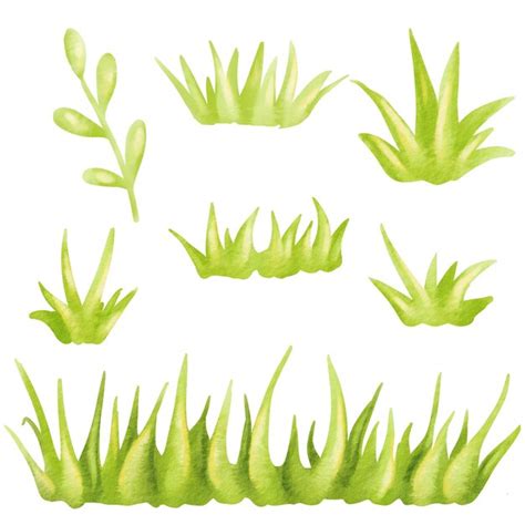 Premium Photo Tufts Of Fresh Plants In Close Up Isolated Elements Set