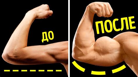 7 эффективных упражнений чтобы накачать бицепсы дома Youtube
