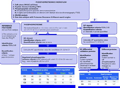 Overview Of Phosphoproteomics Workflow For Data Generation And