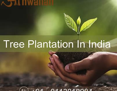 Tree Plantation Projects Photos Videos Logos Illustrations And