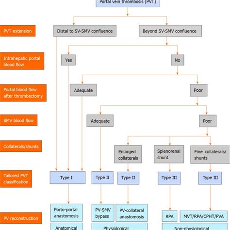 A Proposed Algorithm For The Tailored Portal Vein Thrombosis Download Scientific Diagram