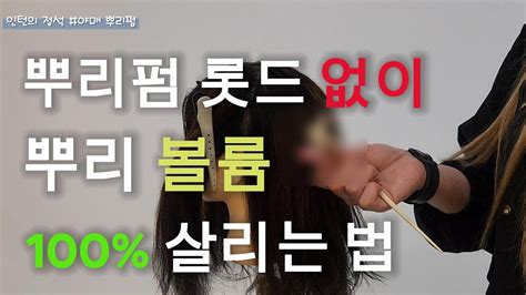 인턴의정석 뿌리펌 롯드 없이 뿌리볼륨 100 살리는법 Youtube