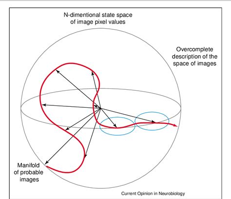 figure 2 from sparse coding of sensory inputs semantic scholar