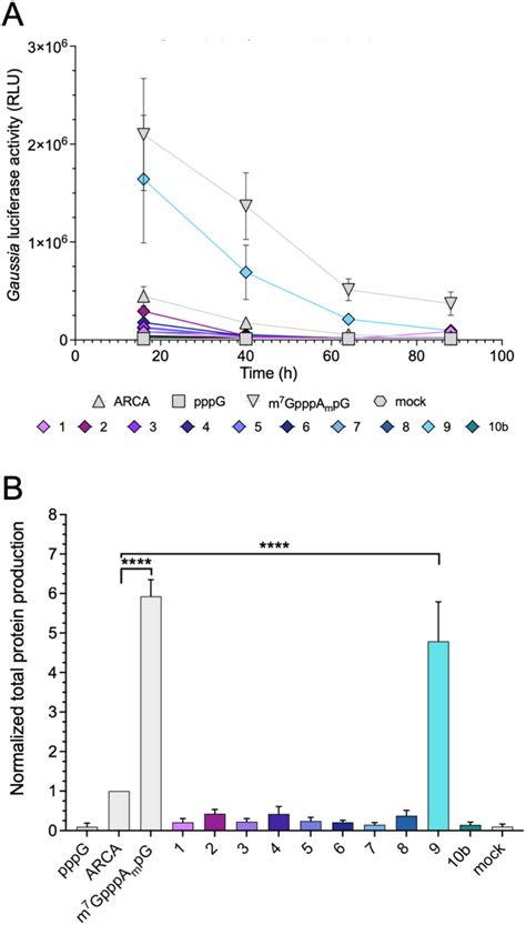 Protein Output From Hplc Purified Mrnas Capped With Various Analogs