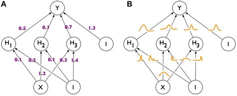 Comparison Of Neural Network A And Bayesian Neural Network B Download Scientific Diagram