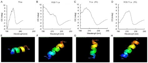 Circular Dichroism And 3d Structural Simulation Of Natural Anti Tumor Download Scientific