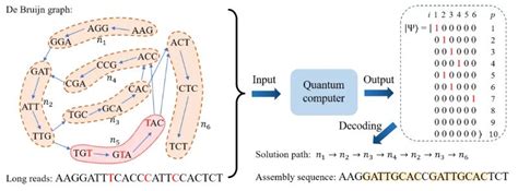 华大与量旋科技联合开发长短读长混合组装量子算法，助力量子计算应用研究 量子科技中心量科网
