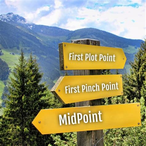 Plot Points Writing To Percentages Learn How To Write A Novel