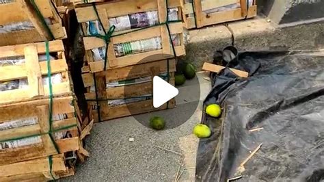 Jalpaiguri News জলপাইগুড়ি তিস্তা ব্রিজের ওপর দুর্ঘটনার কবলে পড়ল একটি আম বোঝাই লরি Bengali