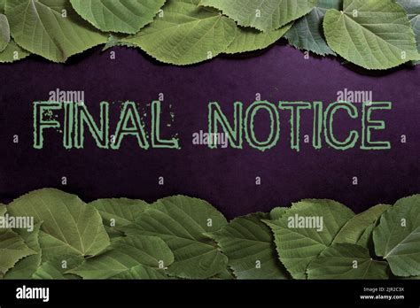 Conceptual Display Final Notice Business Concept Formal Declaration Or Warning That Action Will