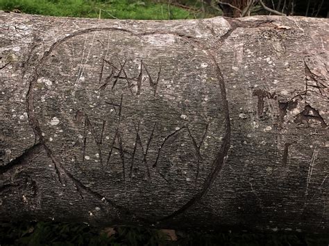 Dan Nancy By Ewbtech On Deviantart