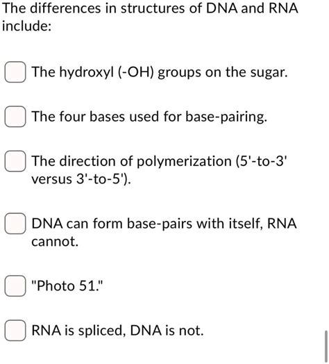 Dna Vs Rna Hydroxyl Group At Joel Sherwin Blog