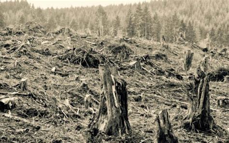 Infrastructure And Budget Bills Contain Very Bad Logging Provisions