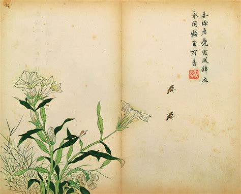 古老的画谱古籍善本 十竹斋画谱 古籍善本鉴赏知识 样子收藏网 记录传统艺术品文化传承