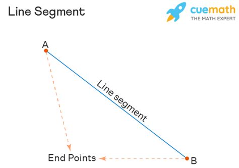 Segment Bisector Definition Types Perpendicular Bisector Examples