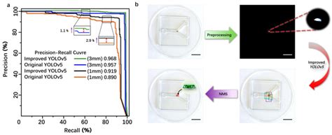 Magnetic Controlled Microrobot Real Time Detection And Tracking Through Deep Learning