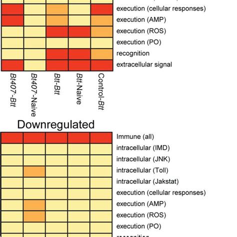 P Value Heatmaps For Different Immunity Related Categories P Values Download Scientific