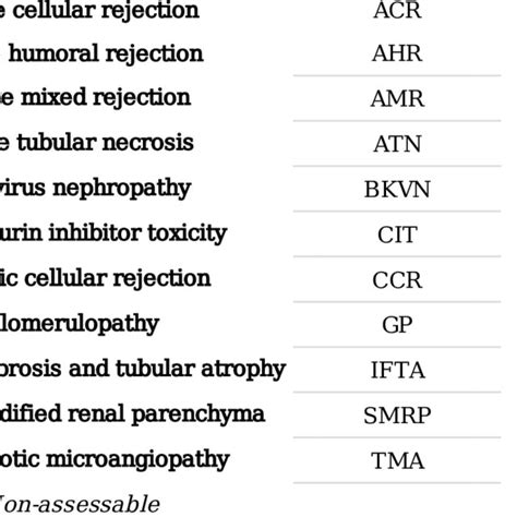 Patients Classification Based On Main Histopathological Diagnostics Download Scientific Diagram