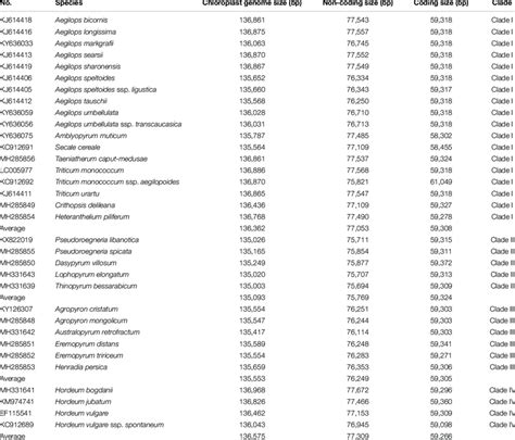Sizes Of 34 Triticeae Species With Complete Chloroplast Genomes And Download Scientific Diagram