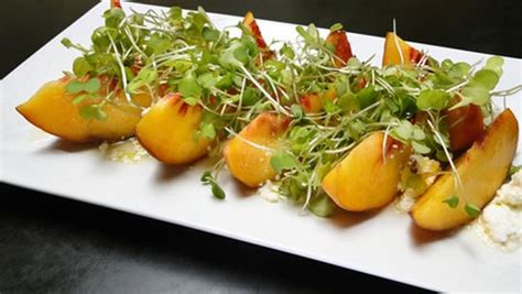 25 Microgreens Recipes Perfect For Quick Lunches Simple Dinners And