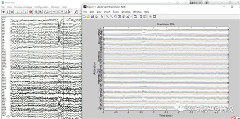 Lab Streaming Layer（lsl）实时数据流（一） 知乎