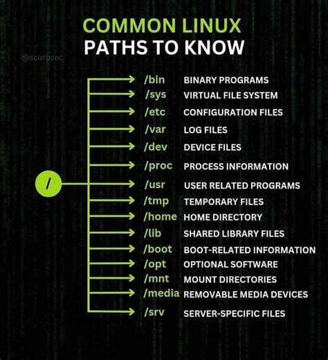 Common Linux Paths To Know
