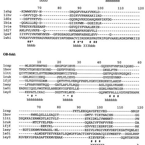 structure based sequence alignment of sh3 fold and ob fold proteins